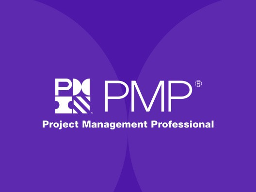 PMP Certification Training - Weekend Virtual Program - Project ...
